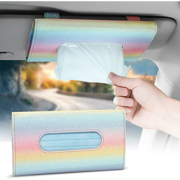 Visor Organizer