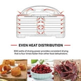 Nesco Professional 600W 5-Tray Food Dehydrator FD-75PR with Adjustable ...