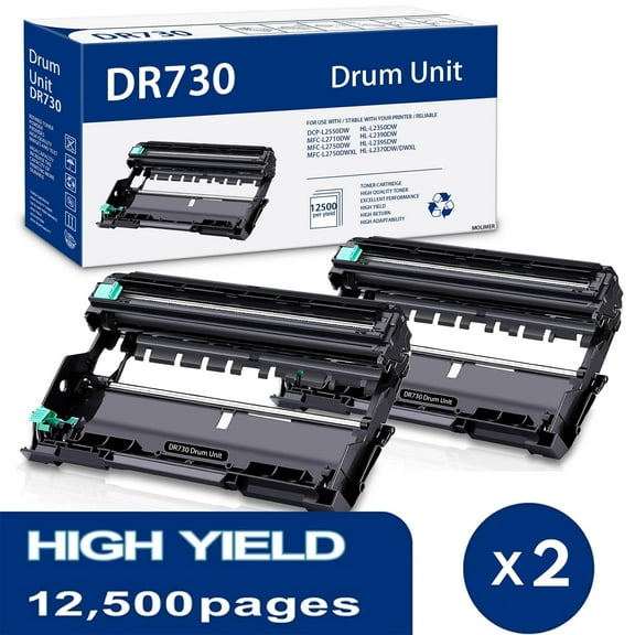 Brother Genuine DR730 Drum Unit, Professional Mono Print Quality ...