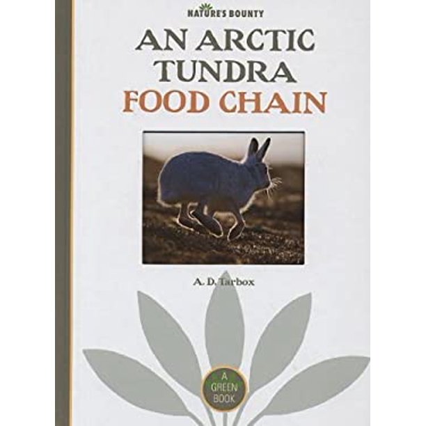 Tundra Food Chain