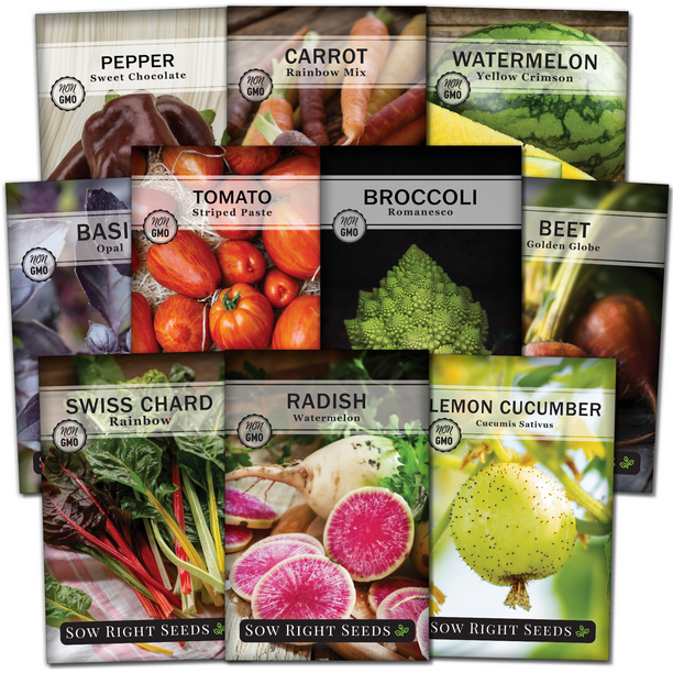 Exotic Vegetable Garden Seed Collection - Non GMO Varieties - 10 Count ...