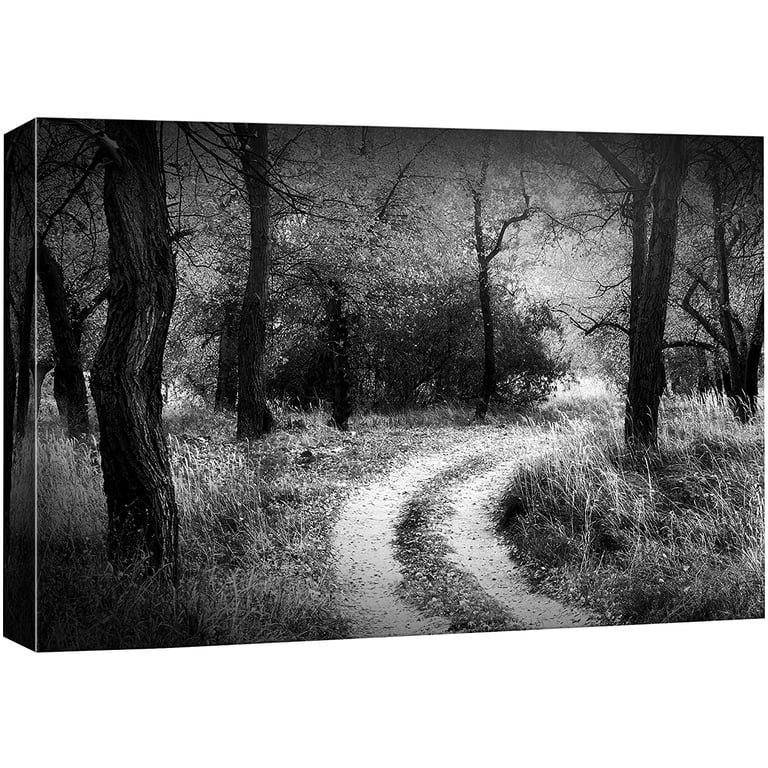 Dark Forest Path Black And White