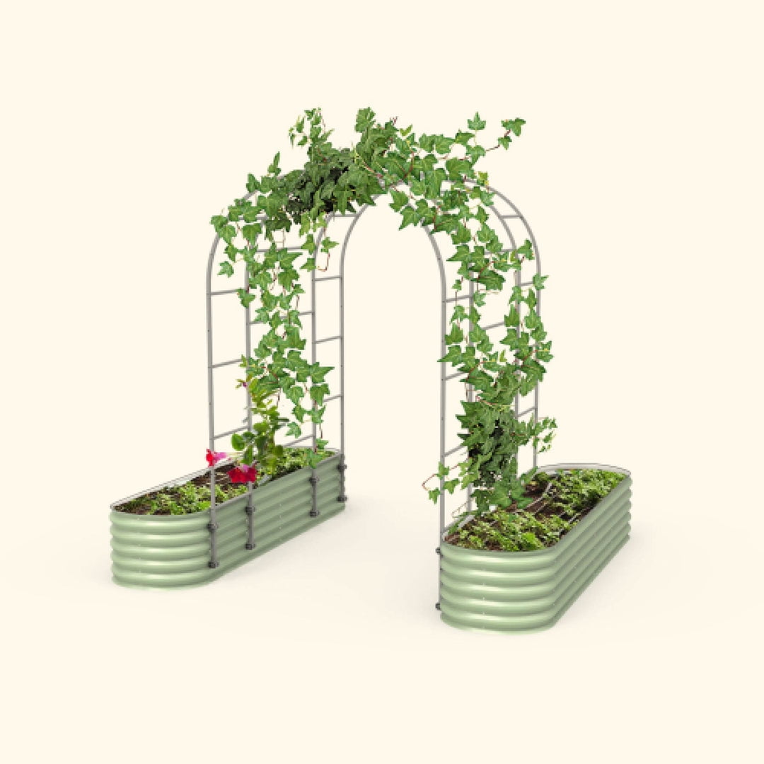 Vego Garden Modular Arched Trellis System Triple Section 6.0' Long ...