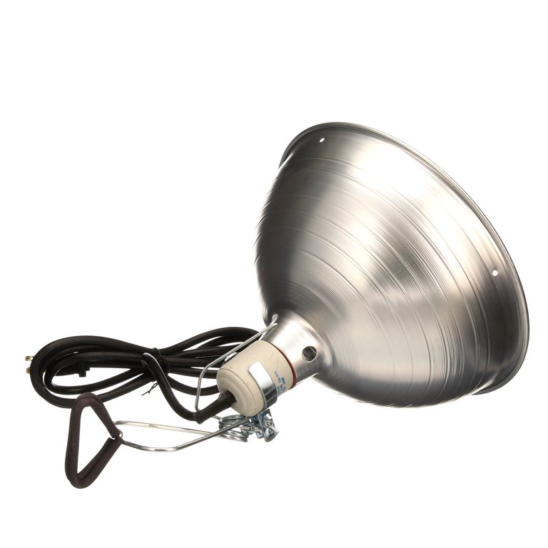 For The Brooder Clamp Light Bulbs