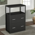 Tribesigns Modern 2 Drawer File Cabinet, Large Filing for Letter/Legal/A4 with Lock, Black ...
