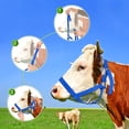 Uxcell 2-Pack Adjustable Cattle Cow Calf Halter, 19.68"-23.62" Nylon ...
