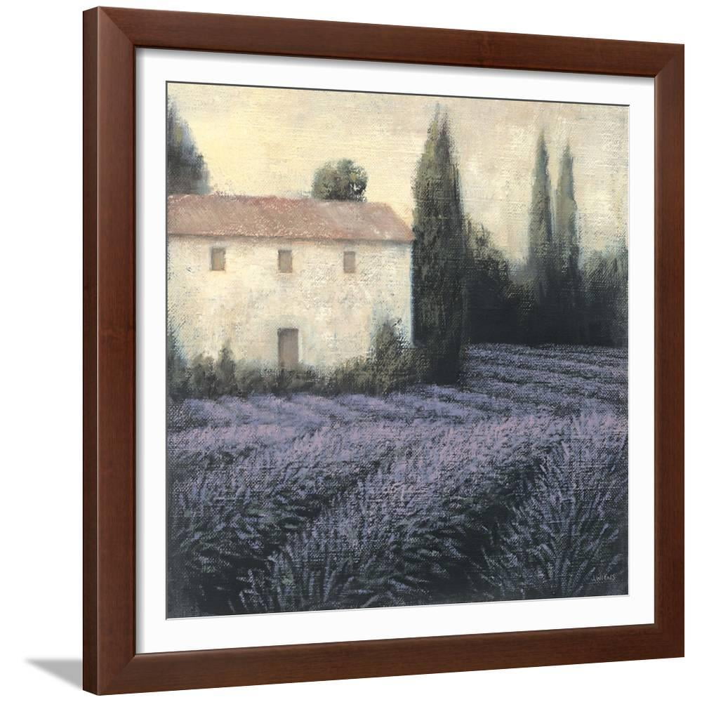 Lavender Field Detail, Scenic Framed Art Print Wall Art by James Wiens ...