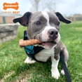 Nylabone Healthy Edibles Meaty Center All-Natural Long Lasting Chew ...