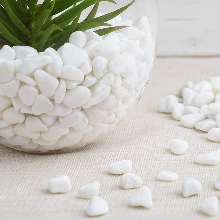 Decorative Pebbles And Stones For Vases | Shelly Lighting
