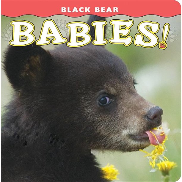 Black Bear Babies! (Board Book) - Walmart.com