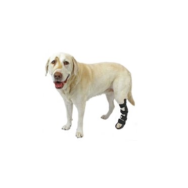 Walkin’ Pets Front Leg Splint - For Dogs with Arthritis and Injuries ...