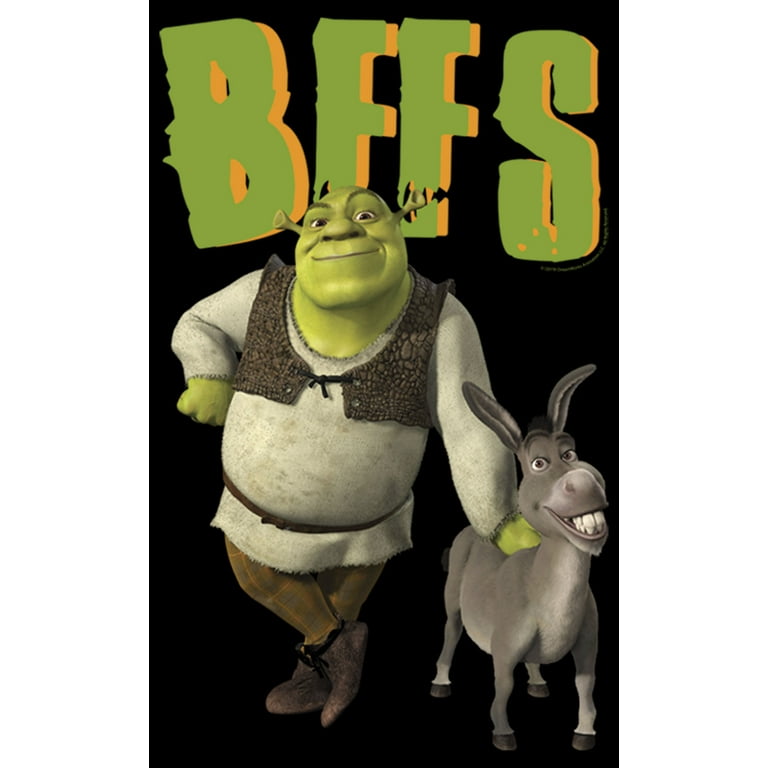Shrek Donkey Mad