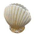 Artistic Resin Flower Pots Seashell-Shaped Decorative Planters for ...