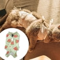 Watermelon Print Cat Recovery Suit for Post Surgery, Soft Breathable ...