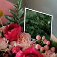3drose, Pretty Gold Color Dandelion Flowers on Green Image of ...