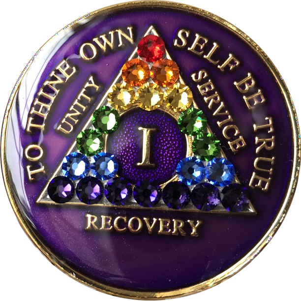 1 Year Sobriety Chip