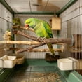 Natural Wood Parrot Perch Set, Bird Cage Stand Stick Platform Chew Toy ...