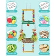 Bird Hammock Toys Parakeet Perches Swing, 3in1 Detachable Parrot Cage ...