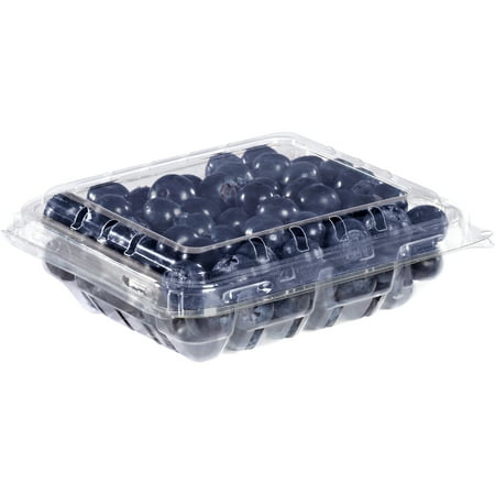 UPC 881006000252 - Produce Unbranded Fresh Blueberries 6oz | upcitemdb.com