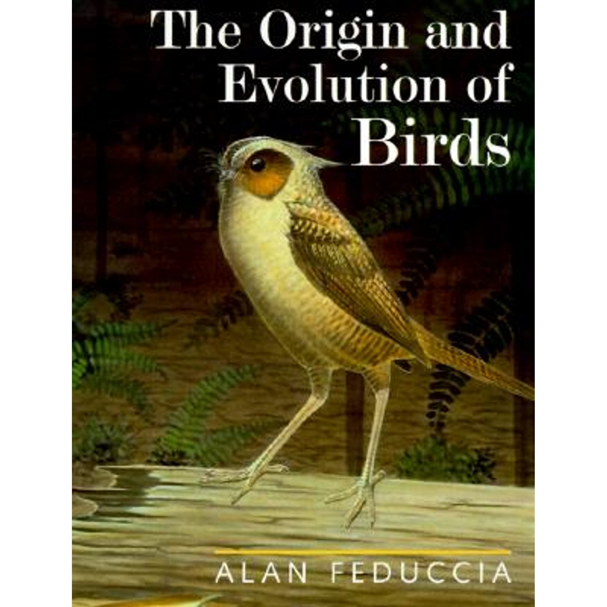 The Origin and Evolution of Birds (Edition 2) (Hardcover) - Walmart.com
