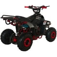 Taotao Red Spider 110cc Raider 6 Kids Gas Powered Quad, Air Cool ...