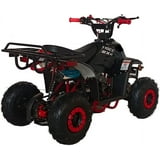 Taotao Red Spider 110cc Raider 6 Kids Gas Powered Quad, Air Cool ...