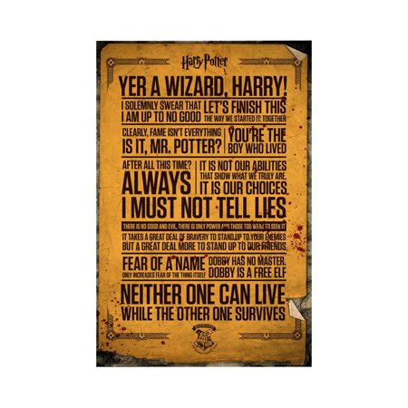 Harry Potter Quotes Poster | Walmart Canada
