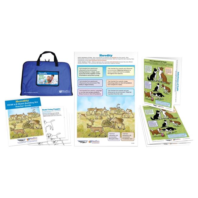 Heredity NGSS 2D Model Building Kit - Walmart.com