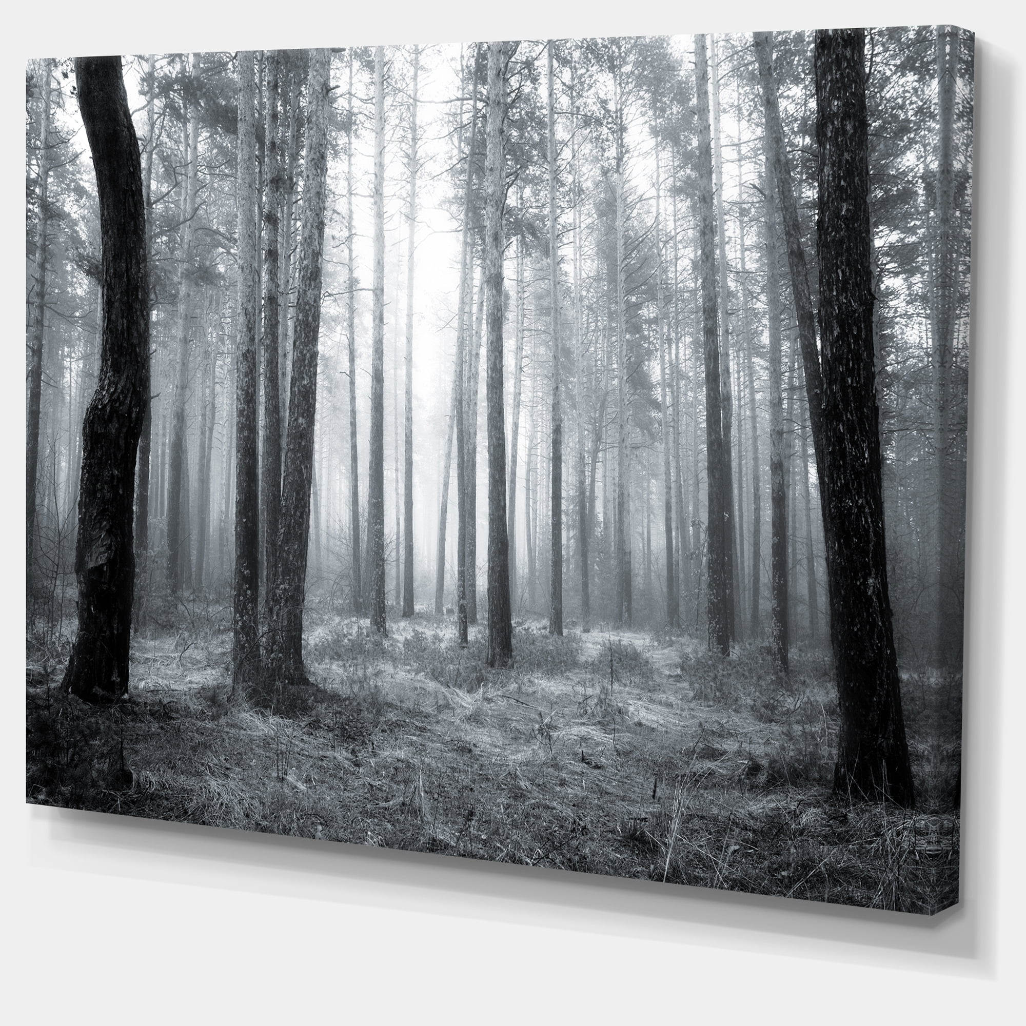 Click here for Designart - Black And White Foggy Forest - Forest... prices