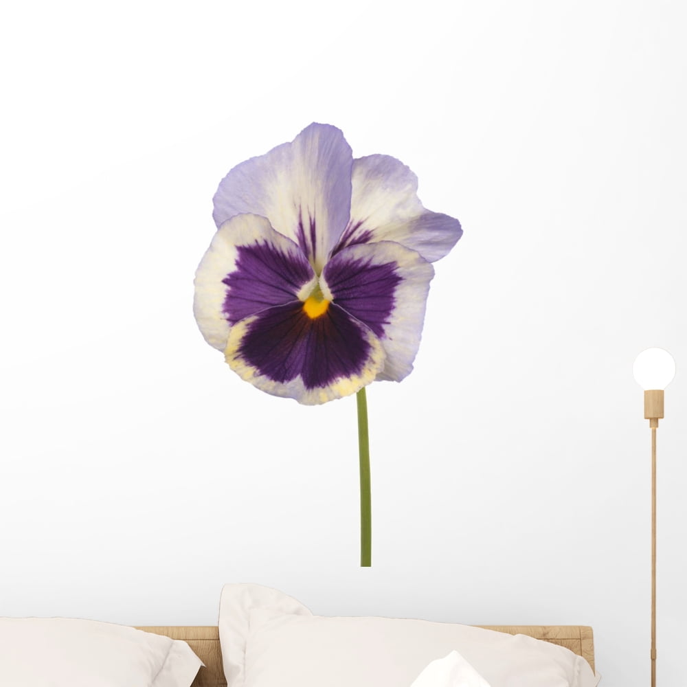 Pansy Wall Mural by Wallmonkeys Peel and Stick Graphic (24 in H x 16 in ...