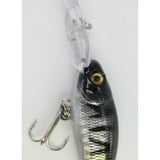 Wildlife Lures 3" inch Bunker Hard Fishing Lure Bait (Banded Leporinus ...