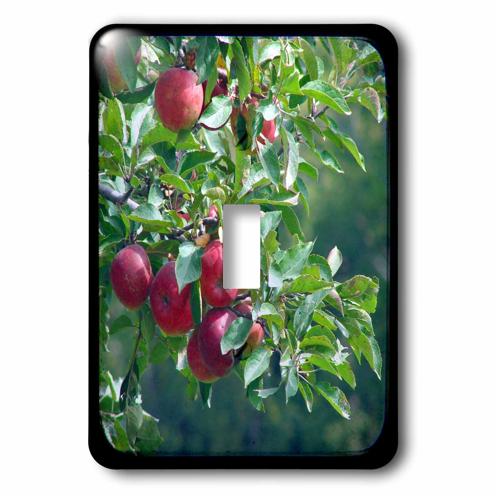 Apples single toggle switch lsp-296147-1 - Walmart.com