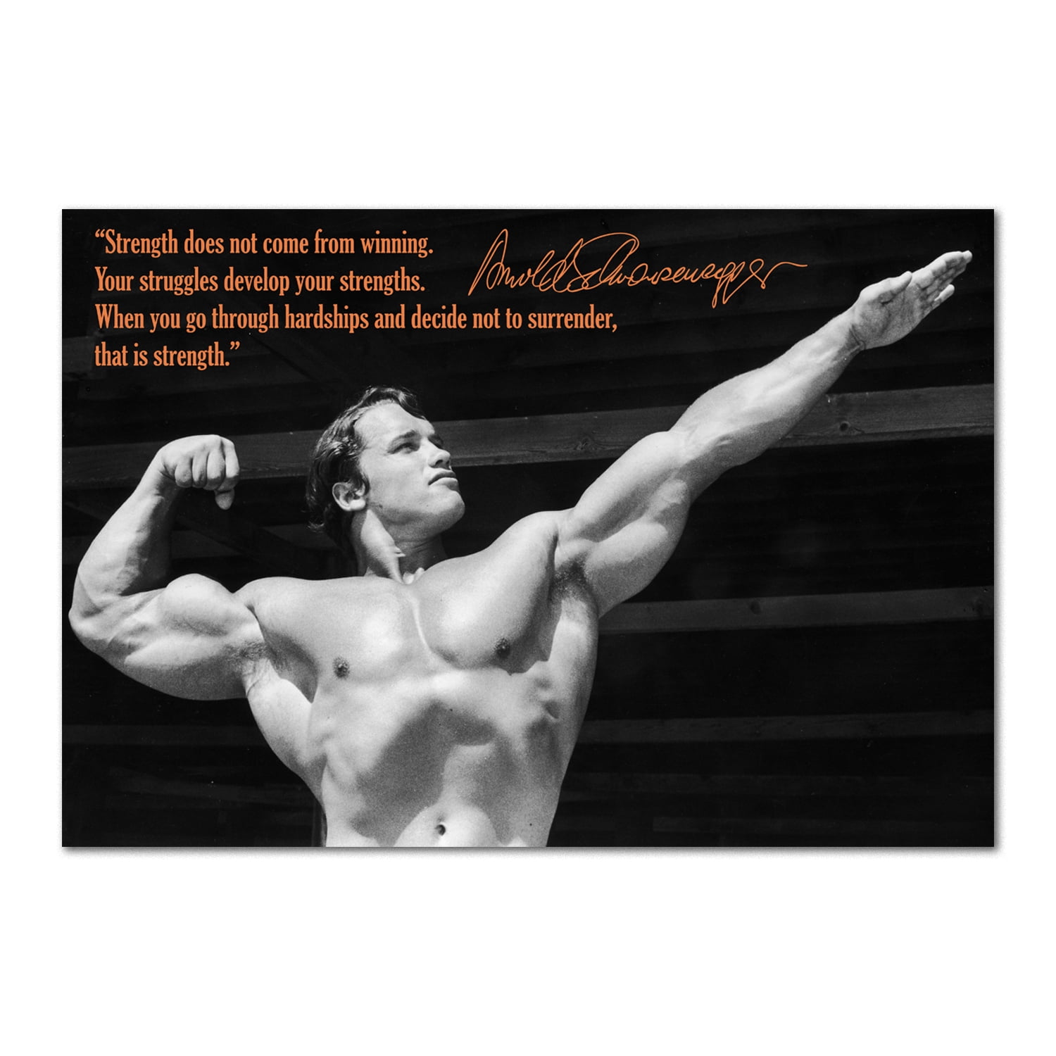 Arnold Schwarzenegger Bodybuilding Motivational Poster