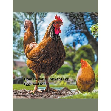 Bantam Chickens. Bantam Chickens as Pets. Bantam Chicken Owner's Manual ...