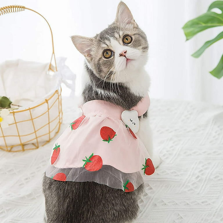 Cat Wedding Dress