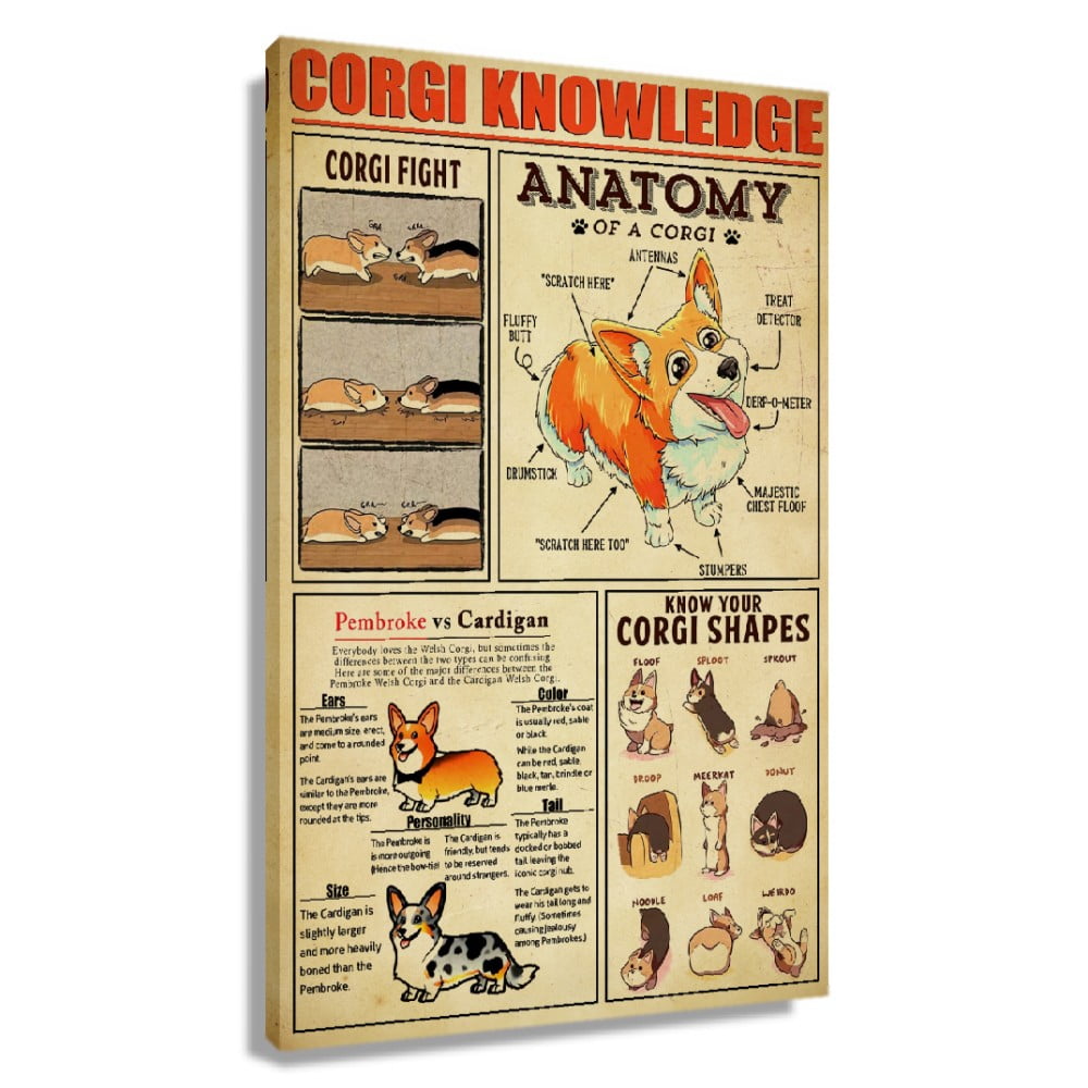 Funny Corgi Dog Wall Art Knowledge Poster Educational Wall Art ...