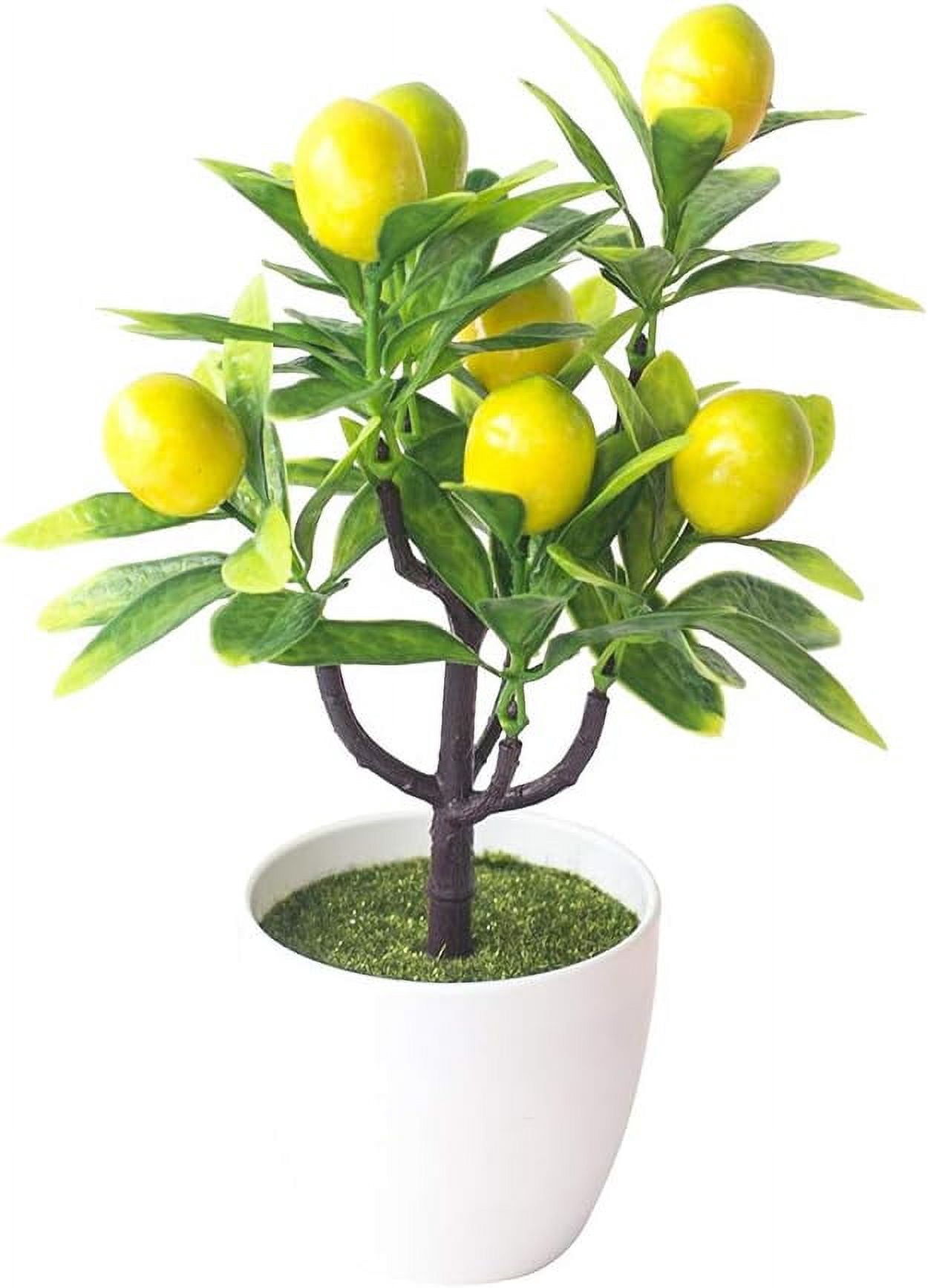 Desktop Decor Artificial Potted Fruit Tree Decorative Fake Plant for ...