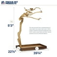 Prevue Pet Products Bird Accessories: Coffeawood Java Tree, Medium Size ...