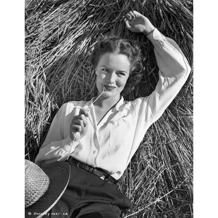 Dorothy Hart on Long Sleeve Lying on Hay Photo Print (24 x 30 ...