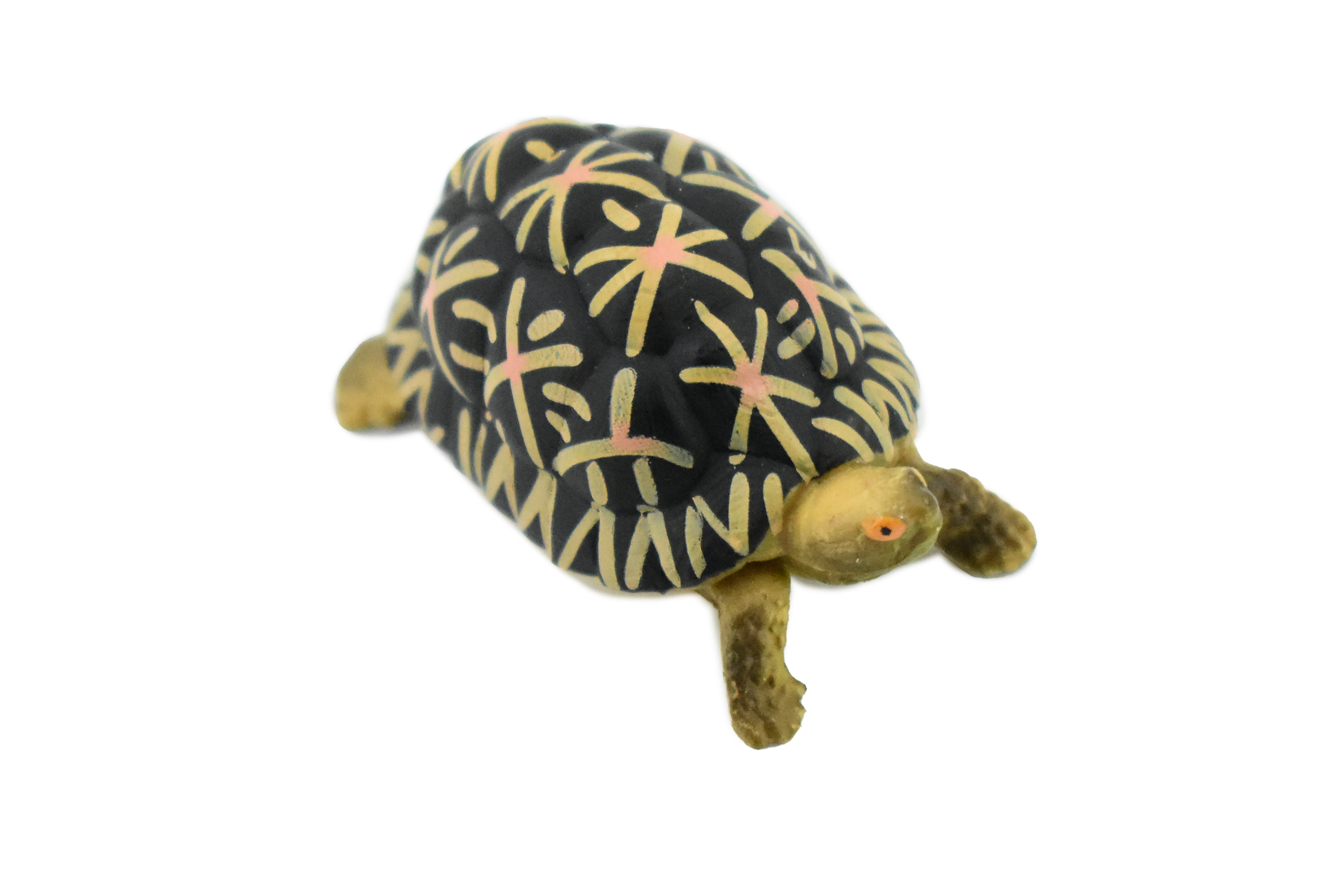Tortoise, Indian Star Tortoise, Testudinidae, Hand Painted, Realistic ...