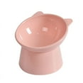 Elevated Cat Bowl, 45° Tilted Raised Dish Pet Feeding Bowl for Cats and ...