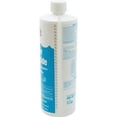 In The Swim, Super Algaecide, 1 Quart F055001012AE, For Yellow Algae ...