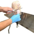 Chicken Cut Up Cone Poultry Deboning Parting Piecing Out Kill Stand ...
