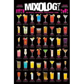 Mixology Tv Show Poster