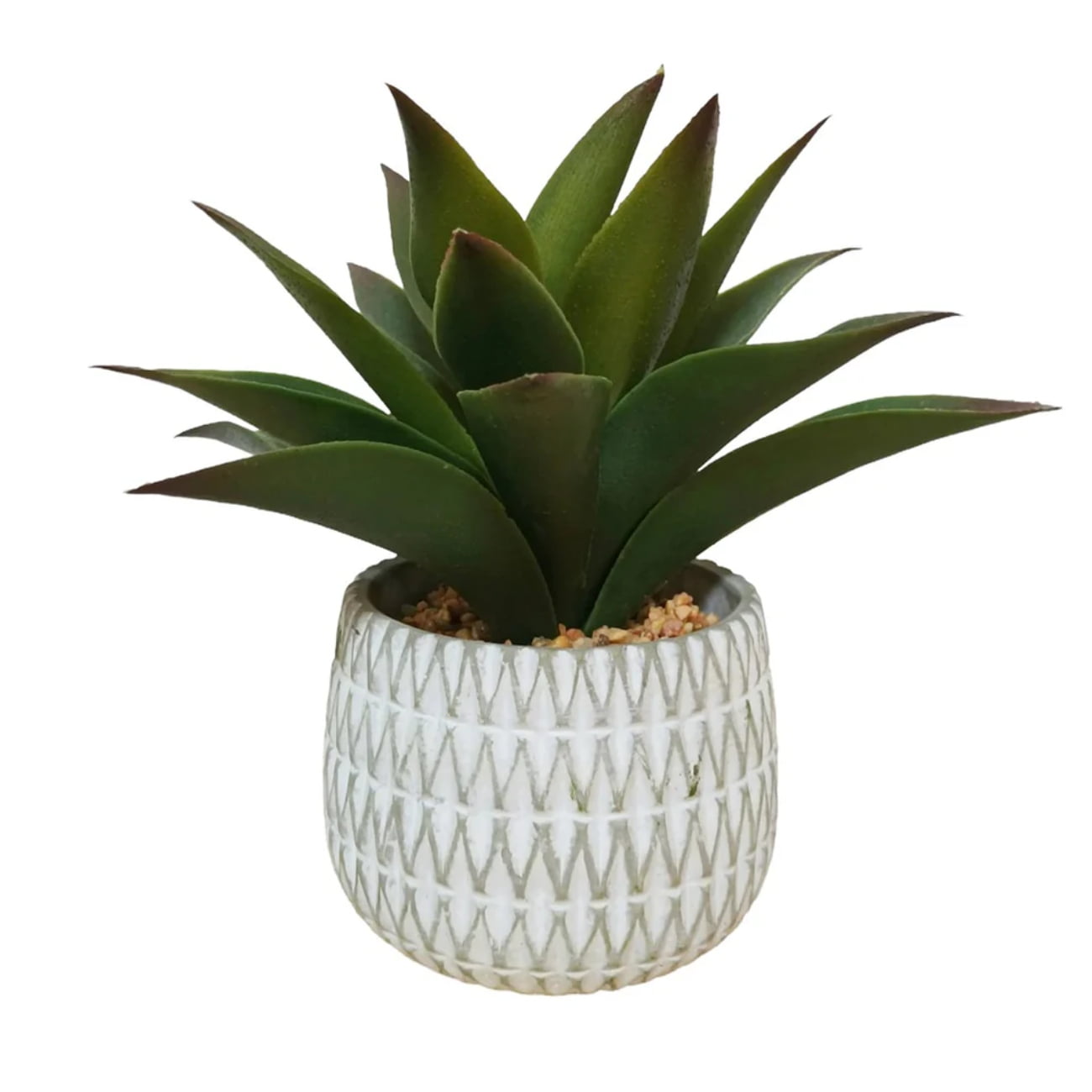 Planta Decorativa Agave Verde con Maceta de Cerámica Blanca | Bodega ...