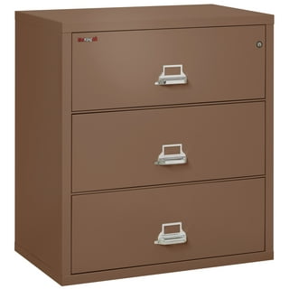 Commercial Fireproof Waterproof File Cabinet | Cabinets Matttroy