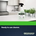 RMR-141 Disinfectant Spray, Kills 99% Bacteria & Viruses, Mold & Mildew ...