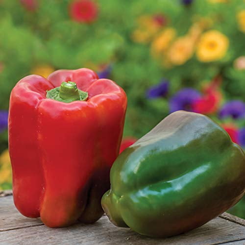 Burpee Great Stuff Sweet Pepper Seeds 40 seeds - Walmart.com