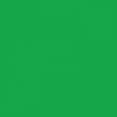 Westcott 5x7' X-Drop Wrinkle-Resistant Backdrop, Chroma-Key Green ...