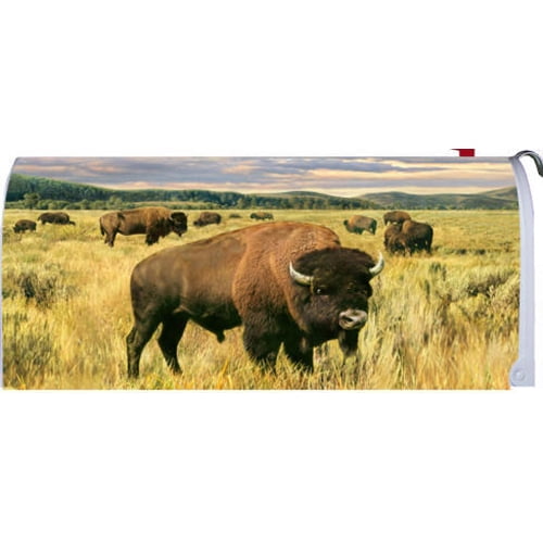 Custom Decor Mailbox Makeover- Grazing Bison - Walmart.com